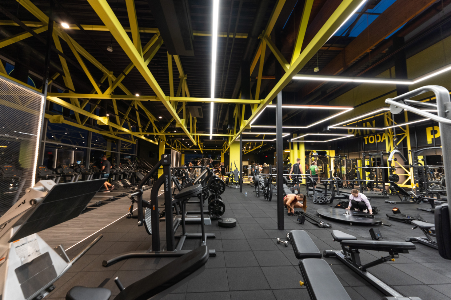 Expansion - Lemongym