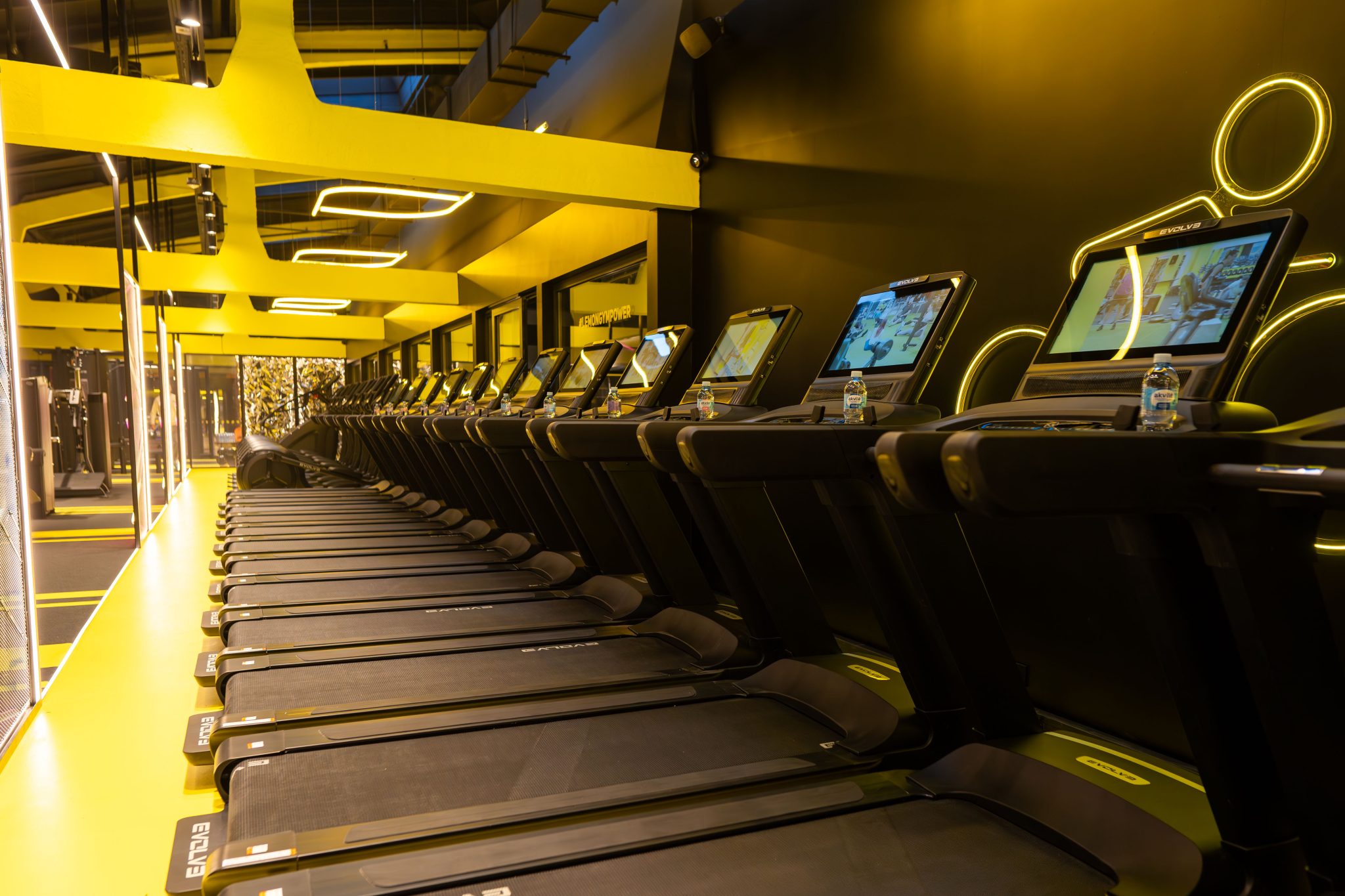 Expansion - Lemongym