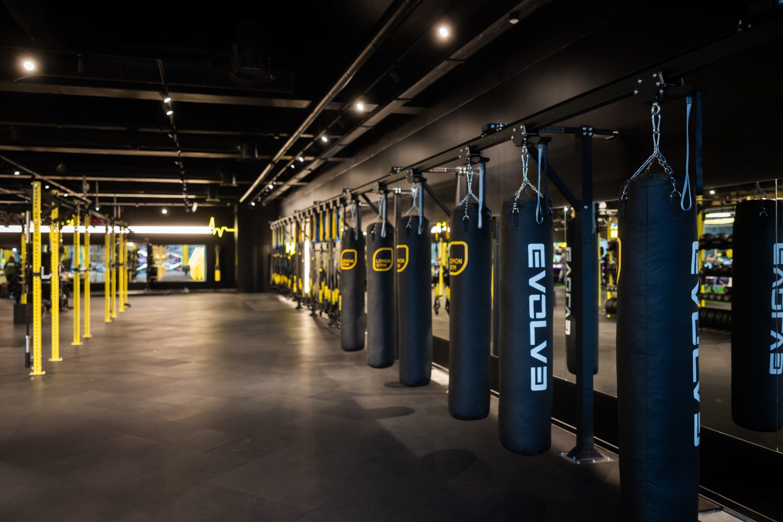 Expansion - Lemongym