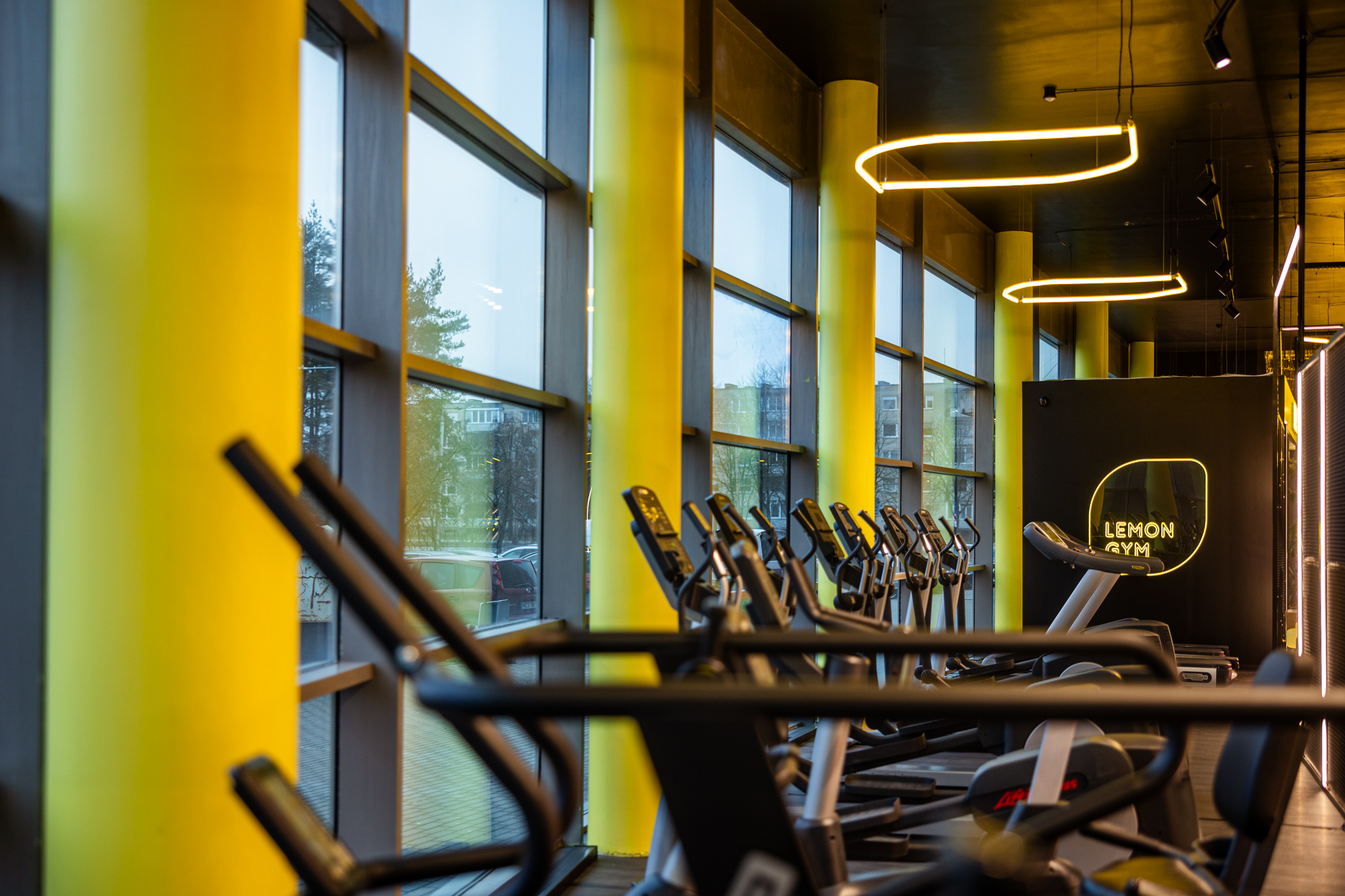 Asanavičiūtė - Lemongym